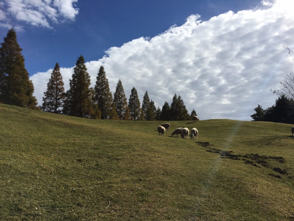 Rokkosan Pasture – Highlight Finder