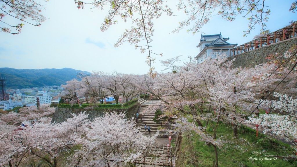 Tsuyama Castle – Kakuzan Park – Highlight Finder